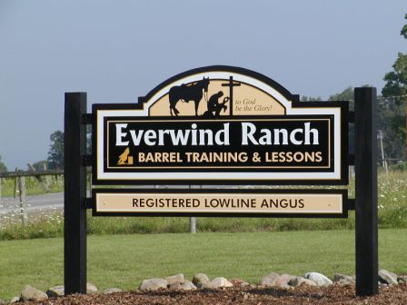 LIGHT THERAPY SYSTEM TREATMENT