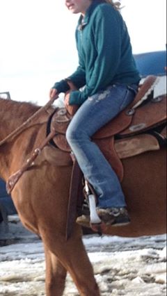 Everwind Ranch Horses for Sale