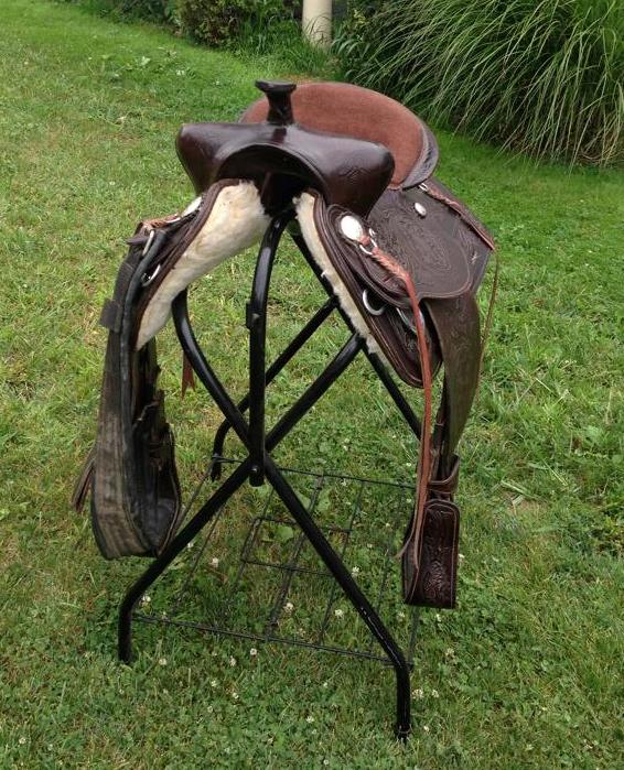 Everwind Ranch Horses for Sale