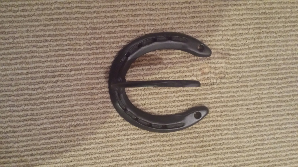 Everwind Ranch Horses for Sale