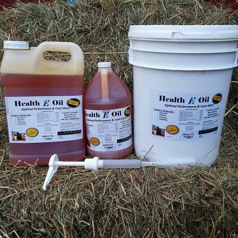 Everwind Ranch Horses for Sale