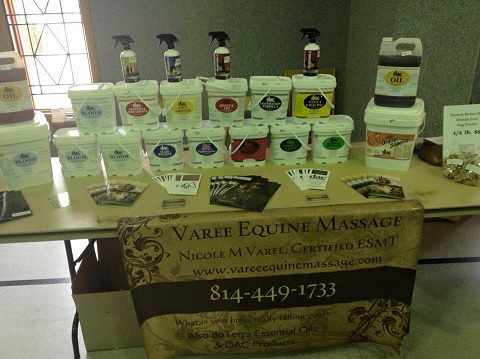 Everwind Ranch Horses for Sale