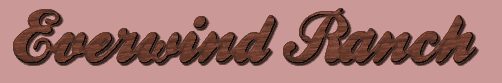 Everwind Ranch Horses for Sale